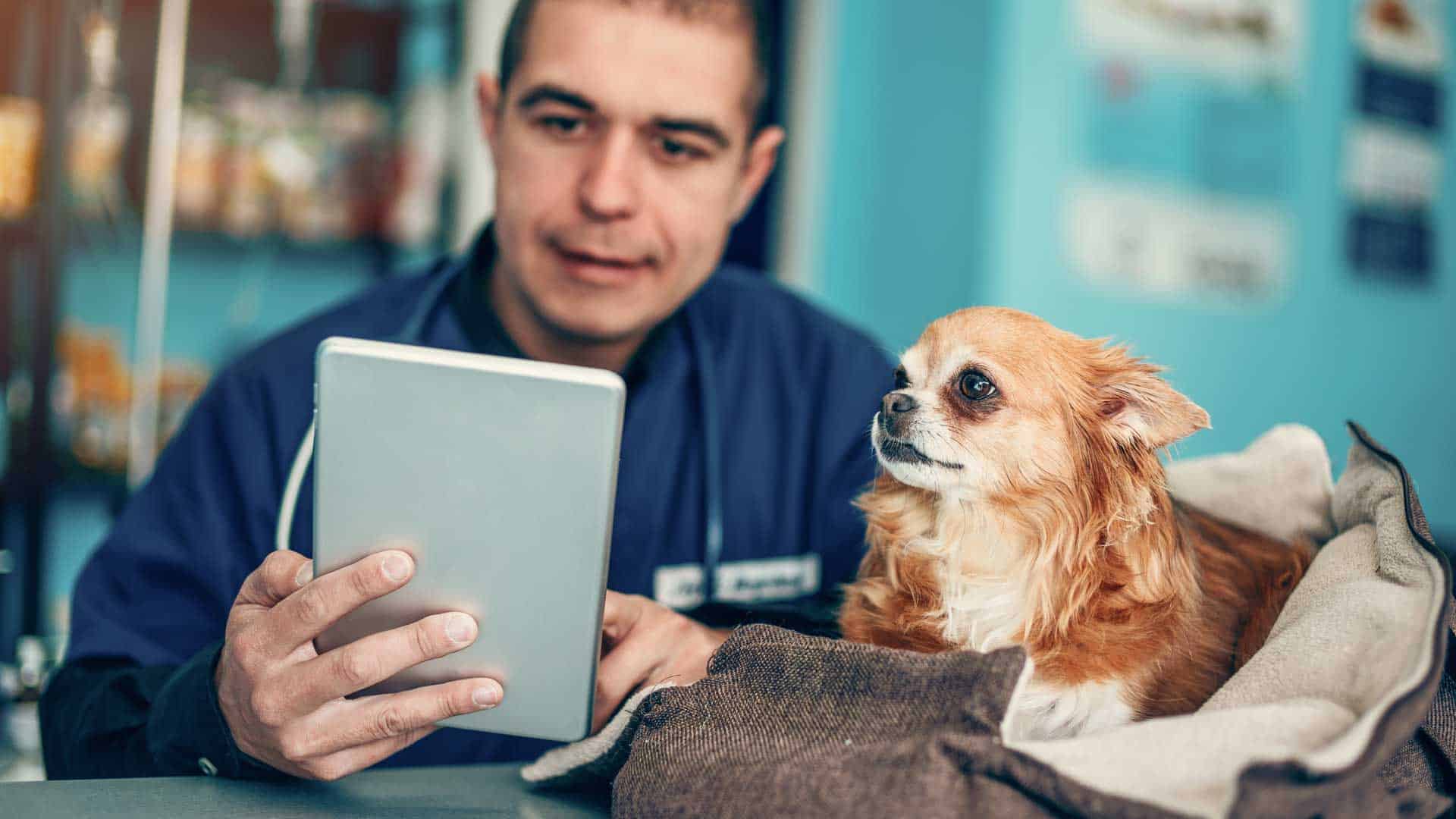 Data Backup & Email Recovery for Veterinary Practices | Dropsuite, a ...